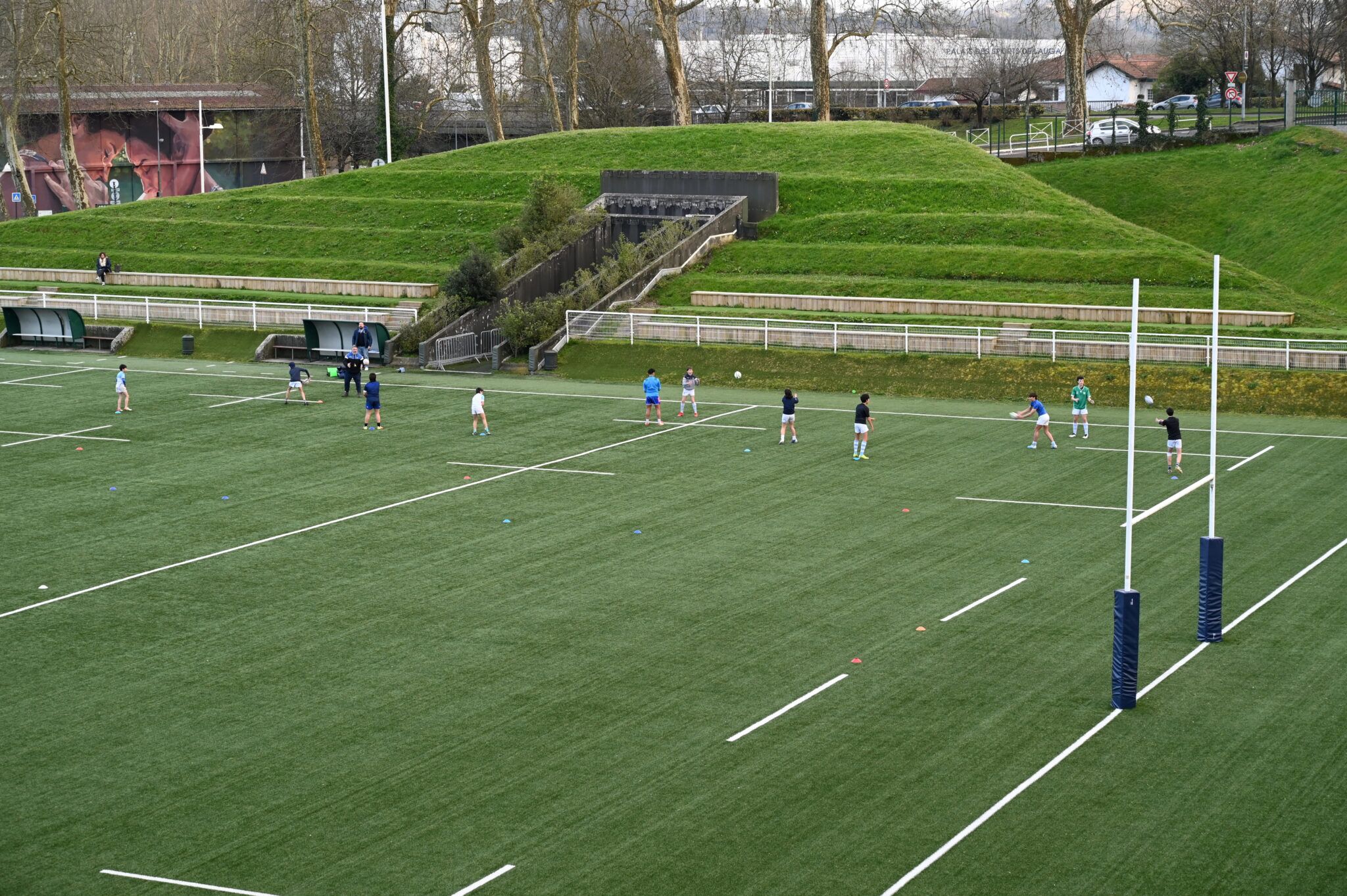 Worldwide Impact: The Use of Synthetic Turf on Sports Fields